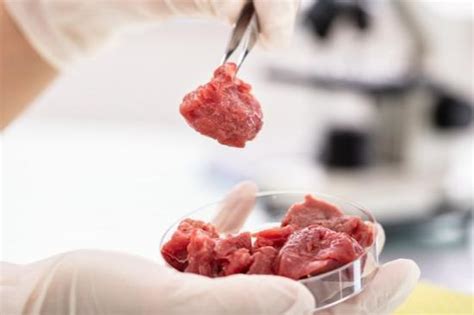 Pythag Tech On Linkedin Lab Grown Meats Show Promise But Scientific