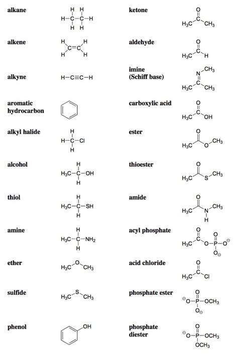 Discover Unique Functional Groups In Organic Chemistry