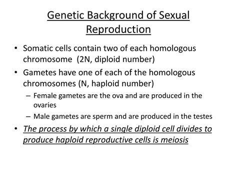 PPT How Cells Reproduce PowerPoint Presentation Free Download ID 2128472