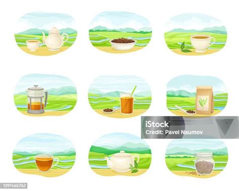 차 녹색 테라스 필드 농장 및 찻주전자 또는 뜨거운 향기로운 음료 양조 벡터 세트가있는 컵 0명에 대한 스톡 벡터 아트 및 기타 이미지 0명 녹색 독일 Istock