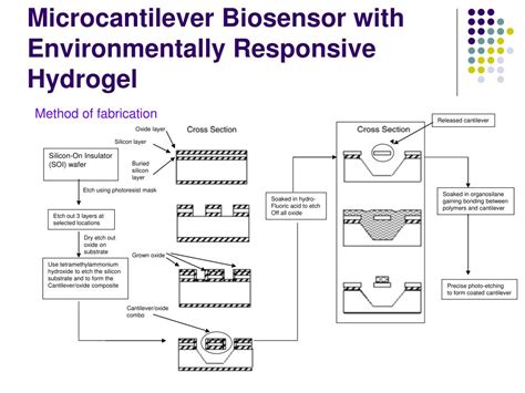 Ppt Biosensors Powerpoint Presentation Free Download Id2688949