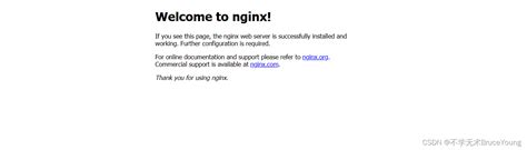 linux中安装或开启nginx报错failed to start a high performance web server and a reverse proxy server csdn博客