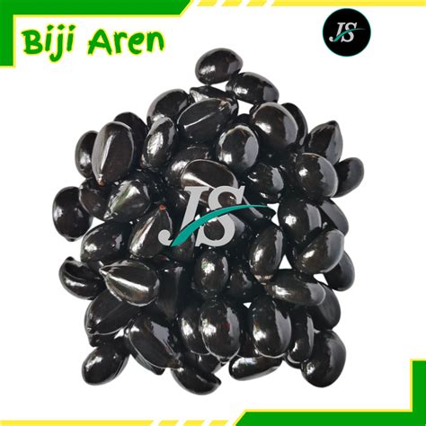 Jual Biji Aren Tua Bibit Benih Pohon Aren Isi100 Bonus 10 Biji Biji Kawung Biji Aren Super
