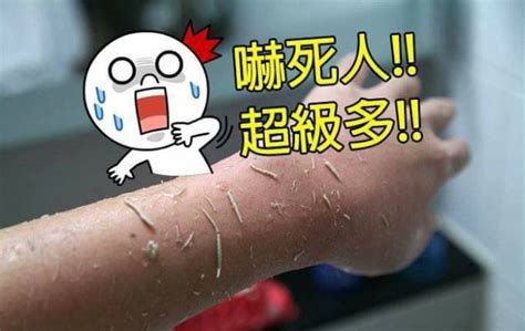 韓國雙面省力搓仙搓澡搓背洗澡巾阿珠媽專用沐浴巾搓澡巾 Yahoo拍賣