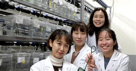 혈관신생 과정 원발성 섬모 역할 규명 새 항암제 개발 단초