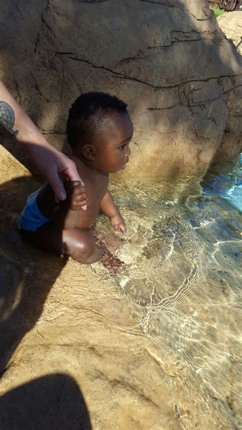 Likhon Ithemba Holah Nmm