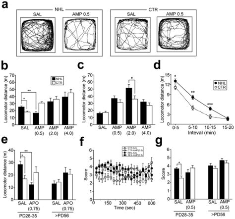 A Representative Examples Of Spontaneous Locomotor Movements Of Download Scientific Diagram