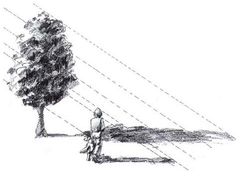 Tree Shadow Drawing At Explore Collection Of Tree
