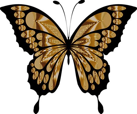 Download Butterfly Wings Insect Royalty Free Vector Graphic Pixabay