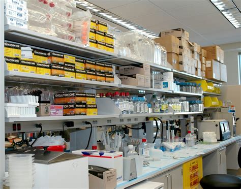Dna Based Computation For Secure Data Storage A New Era Of Data