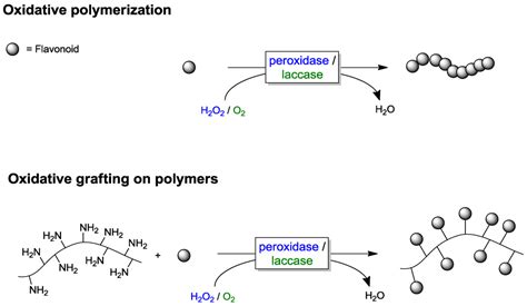 Polymers Special Issue Enzymes In Monomer And Polymer Synthesis