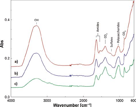 Attenuated Total Reflection Fourier Transform Infrared Spectroscopy Download Scientific Diagram