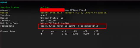 Using Netcat With Ngrok Ip For Receiving Reverse Shell By Drxadz Medium