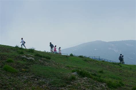 Dsc Kohei Fujii Flickr