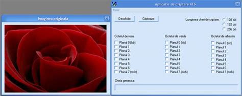 Aplicatie De Criptare De Imagini Folosind Algoritmul Aes