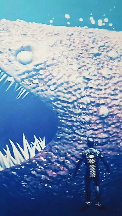 Cute Bloop Fish To The Bloop Youtube