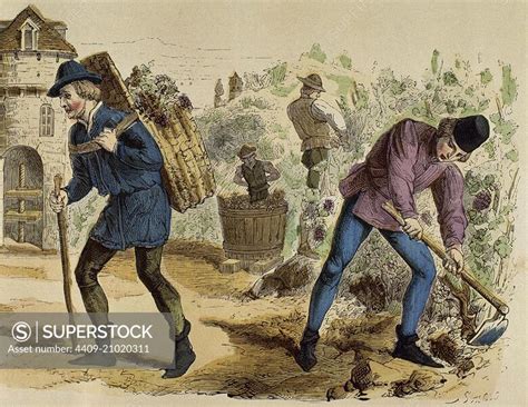 Peasant Definition Geography At Michael Delamothe Blog