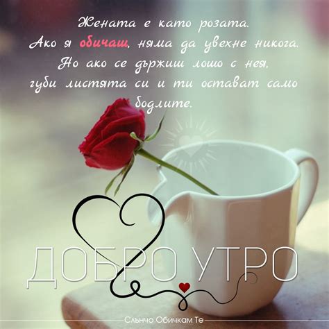 Добро Утро Архиви Слънчо Обичкам Те Добро утро от Слънчо Favorite