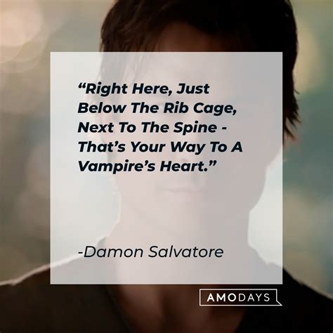 30 Vampire Diaries Love Quotes That Are Intense