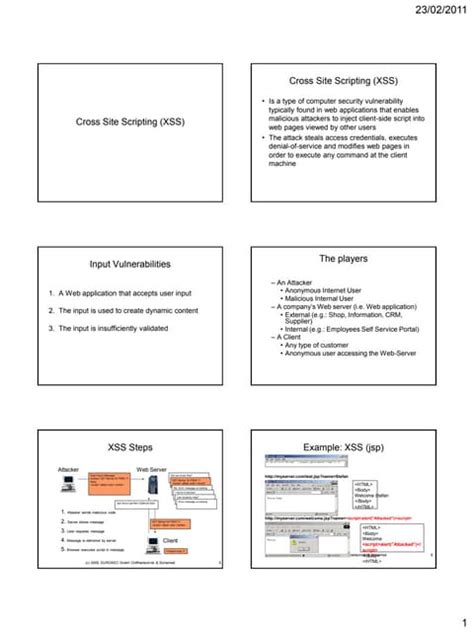 Api Xss Pdf