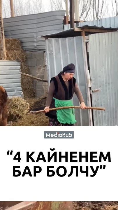 #медиахаб #Саруу #көл #депутат - YouTube