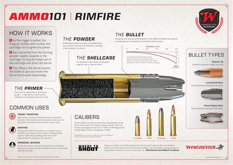 Ammunition Types Chart 12 Caliber 5 7x28mm Royalty Free Photos And