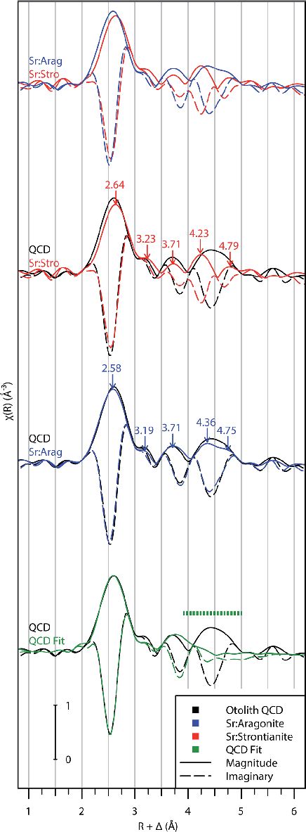 Magnitude And Imaginary Part Of The Phase Corrected Fourier Transforms Download Scientific