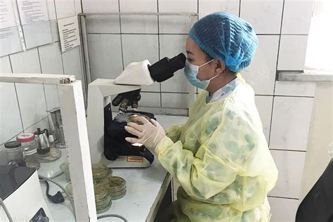 Боом өвчний тандалт шинжилгээ хийлээ ЗӨСҮТ