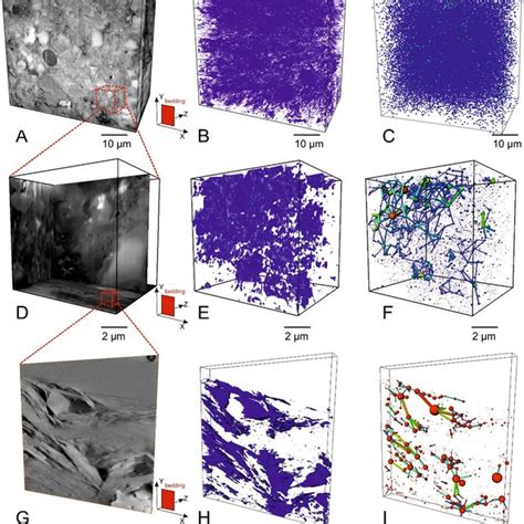 Pore Size Distributions And Corresponding Pore Types From 1 Nm To 3000