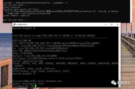 使用python发送sip协议的OPTIONS Mike Zhang 博客园