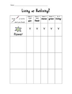 This Scientific Chart Allows Babes To Organize Data And Demonstrate Understanding Of What