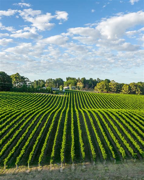 Drone Client Photography Projects In South Australia