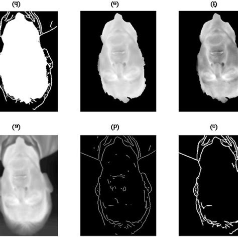 face segmentation process a after image enhancement b sobel edge