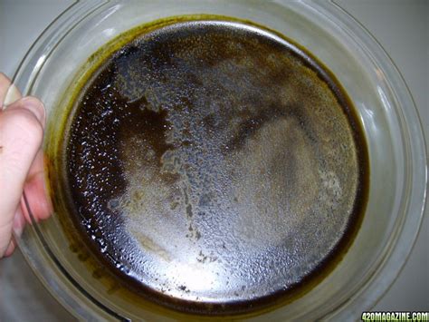 Thc Extraction 420 Magazine