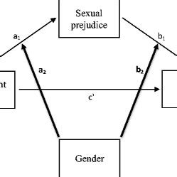 Moderated Mediation Model With Sexual Prejudice As Mediator And Gender Download Scientific
