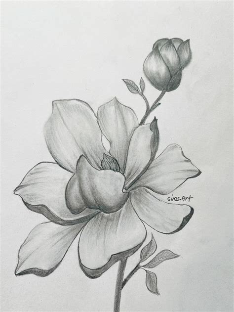 Easy Step By Step Flower Sketch Drawing