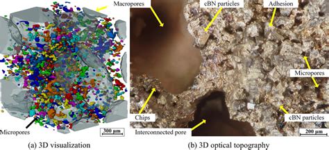 3d Visualization Obtained By X Ray Topography Technique And 3d Optical Download Scientific