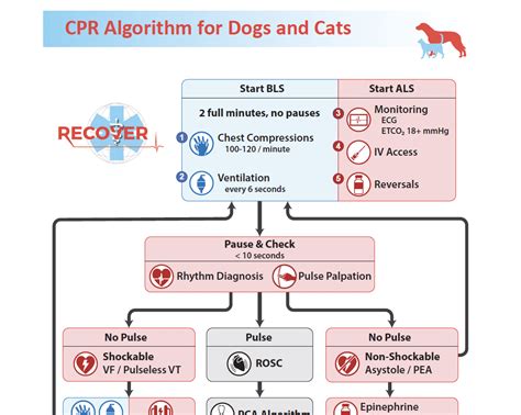 2024 Algorithms And Drug Charts Recover Initiative