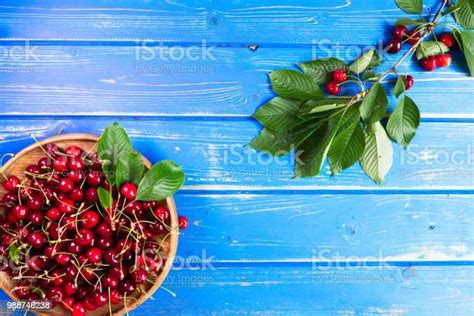 나무 그릇과 푸른 나무 테이블에 익은 빨간 체리의 나뭇가지에 빨간 체리를 수확된 0명에 대한 스톡 사진 및 기타 이미지 0명 건강한 식생활 과일 Istock
