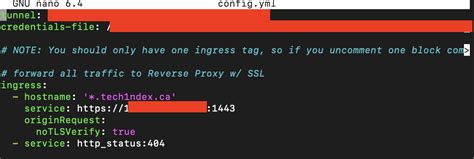 Updating To V2920 Breaks Cloudflared Tunnel · Issue 2696 · Nginxproxymanagernginx Proxy