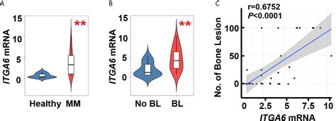 Frontiers Promotion Of Bone Lesions Through The Myeloma Integrin α6