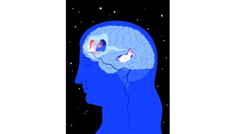 Tau And Ucla Researchers Use Deep Brain Stimulation During Sleep To Improve Memory Consolidation
