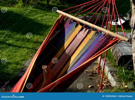 Tangled Naked Man Trapped In A Huge Spider Web Royalty Free Stock