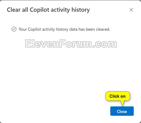 Delete Copilot Conversations Windows 11 Forum