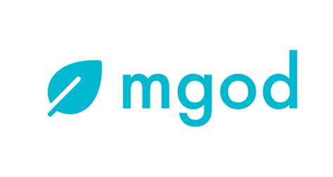 Introducing Mgod Golang Mongodb Odm For Seamless Schema Integration