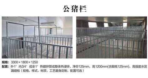 厂家直销公猪栏 种公猪舍 公猪站 公猪舍 公猪栏舍 阿里巴巴 厂家直销公猪栏 种公猪舍 公猪站 公猪舍 公猪栏舍 阿里巴巴