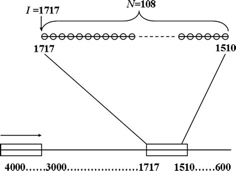 Waveband Selection Of Reagent Free Determination For Thalassemia Screening Indicators Using