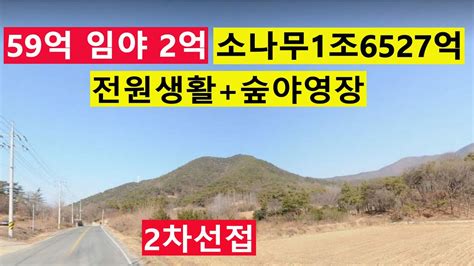 2차선접 남향 2억 전원생활 전원단지분양 숲팬션숲야영장주말텃산힐링숲6차산업273억원 투자수익 산약초약용재배 숲가치1조6564억원 탄소권661만원 땅과함께새희망을경매임야