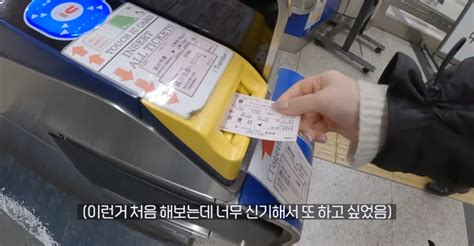 잰잰바리 유튜브 보다가 충격먹음 치지직 에펨코리아