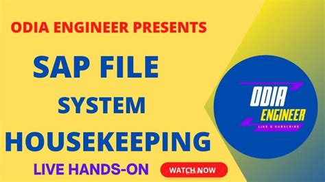 Waliuddin Hussain Mohammed On Linkedin Sap Filesystem Housekeeping